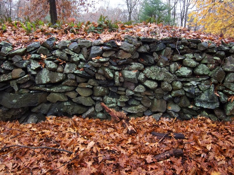 A Picture Each Day: A New England Stone Wall