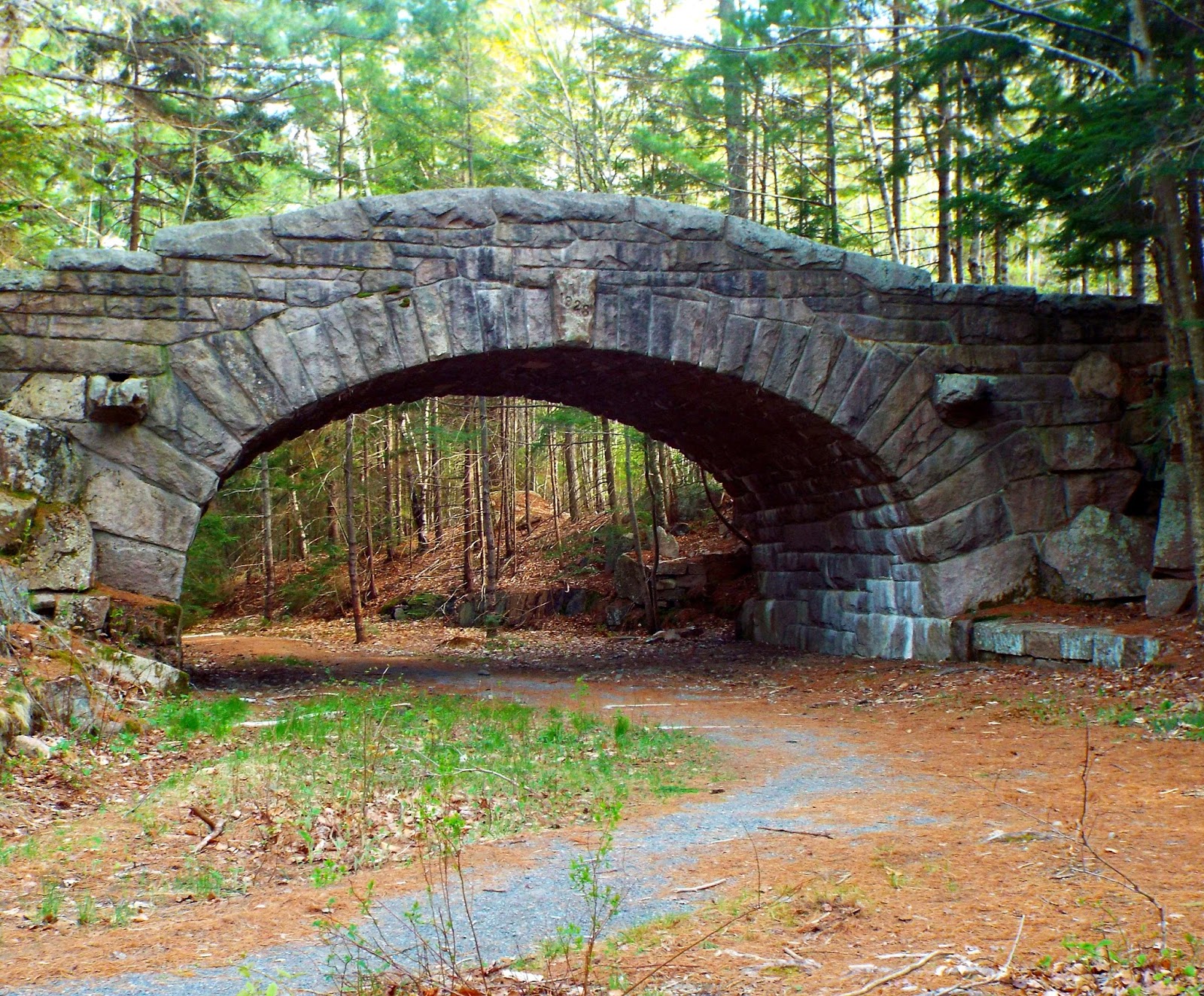 EXPLORING IN AND AROUND ACADIA NATIONAL PARK: THE WATERS OF BUBBLE POND