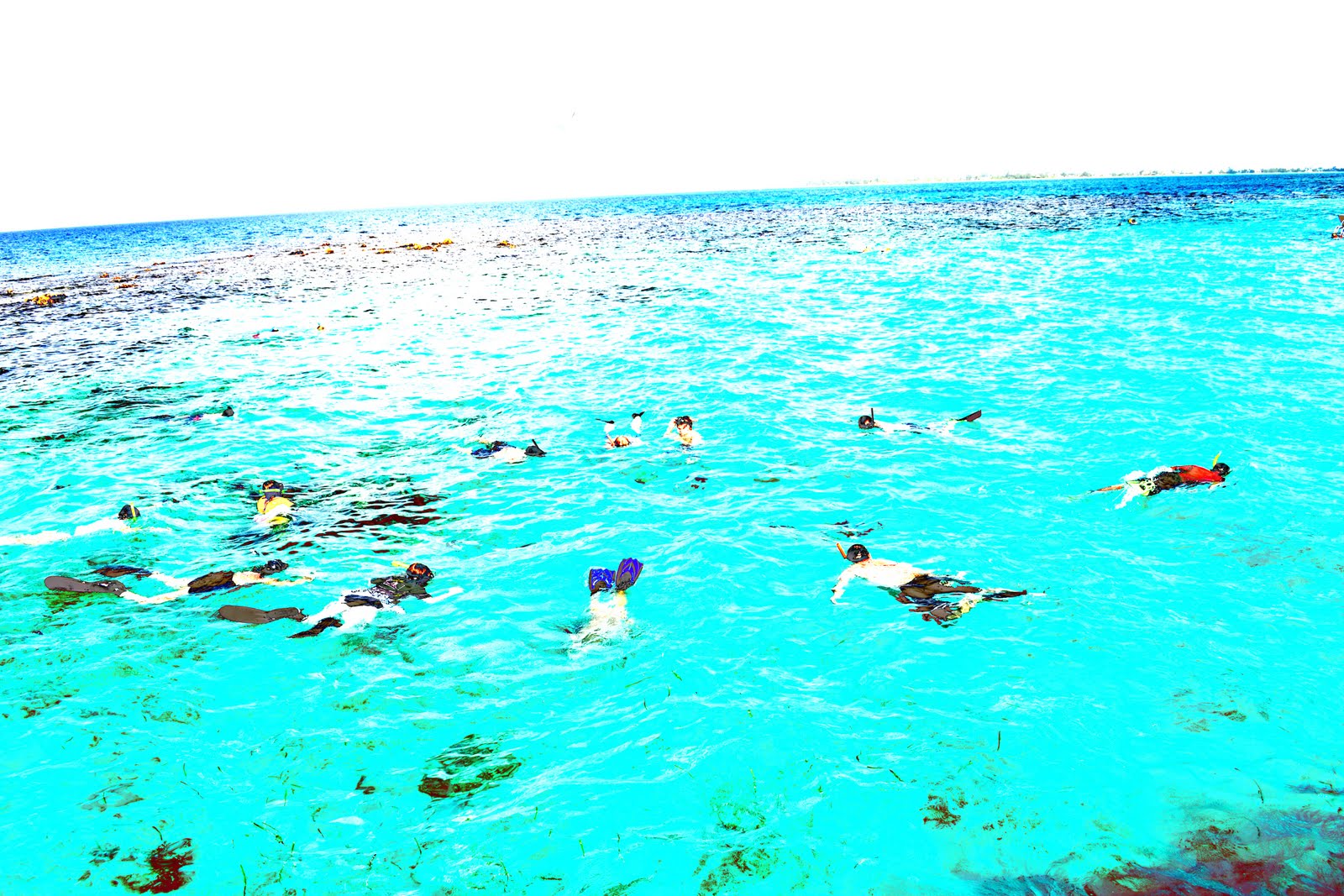 smd photography: solarization