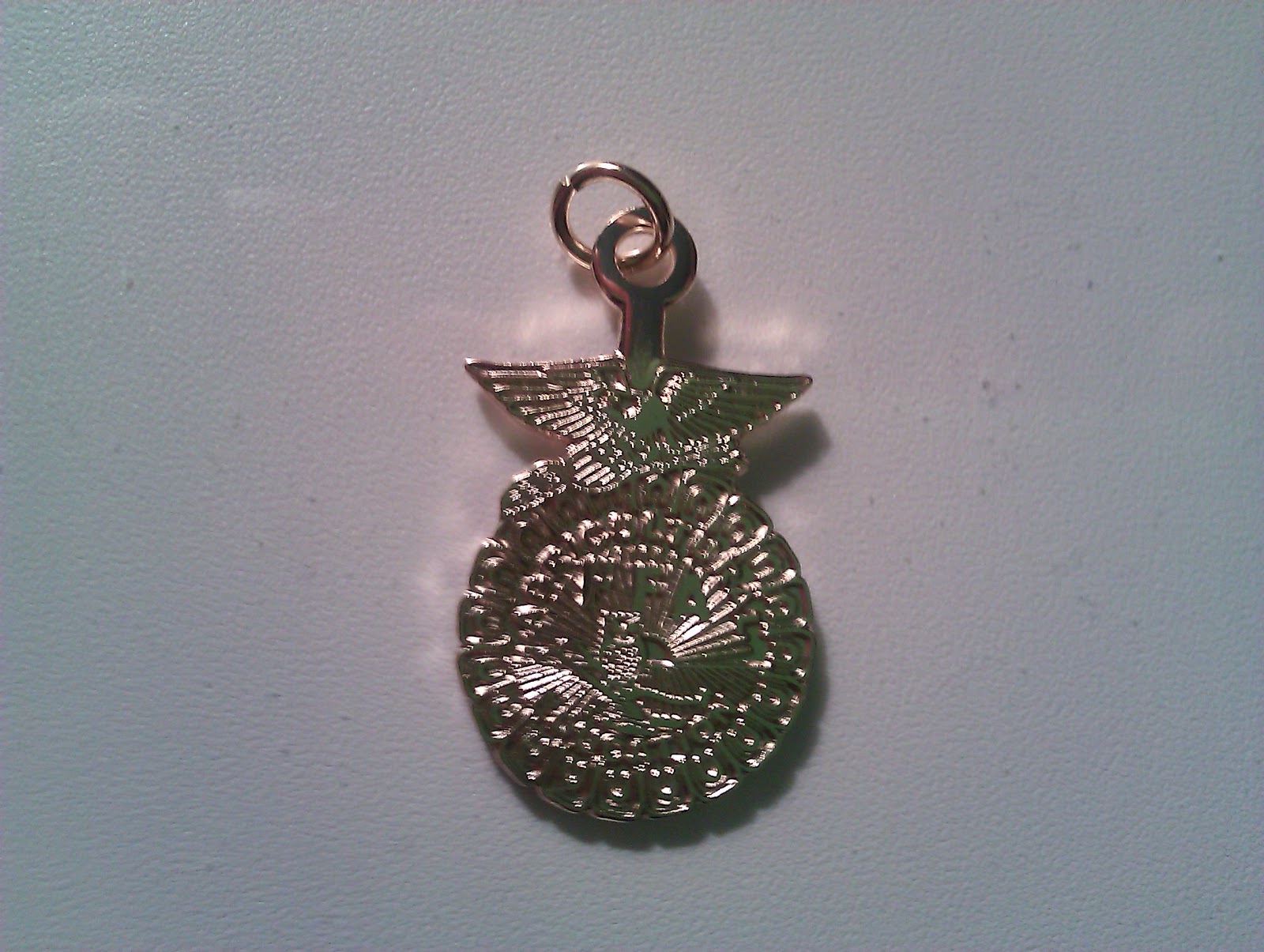 Diaries From the Dirt Road: Happy FFA Week!!!