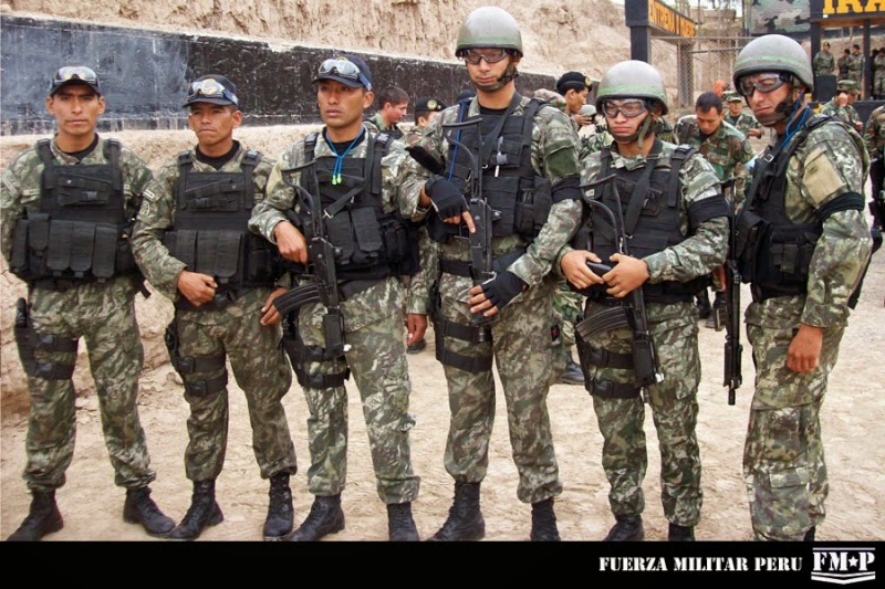 LA POLICÍA NACIONAL DEL PERU: POLICÍA NACIONAL DEL PERÚ.