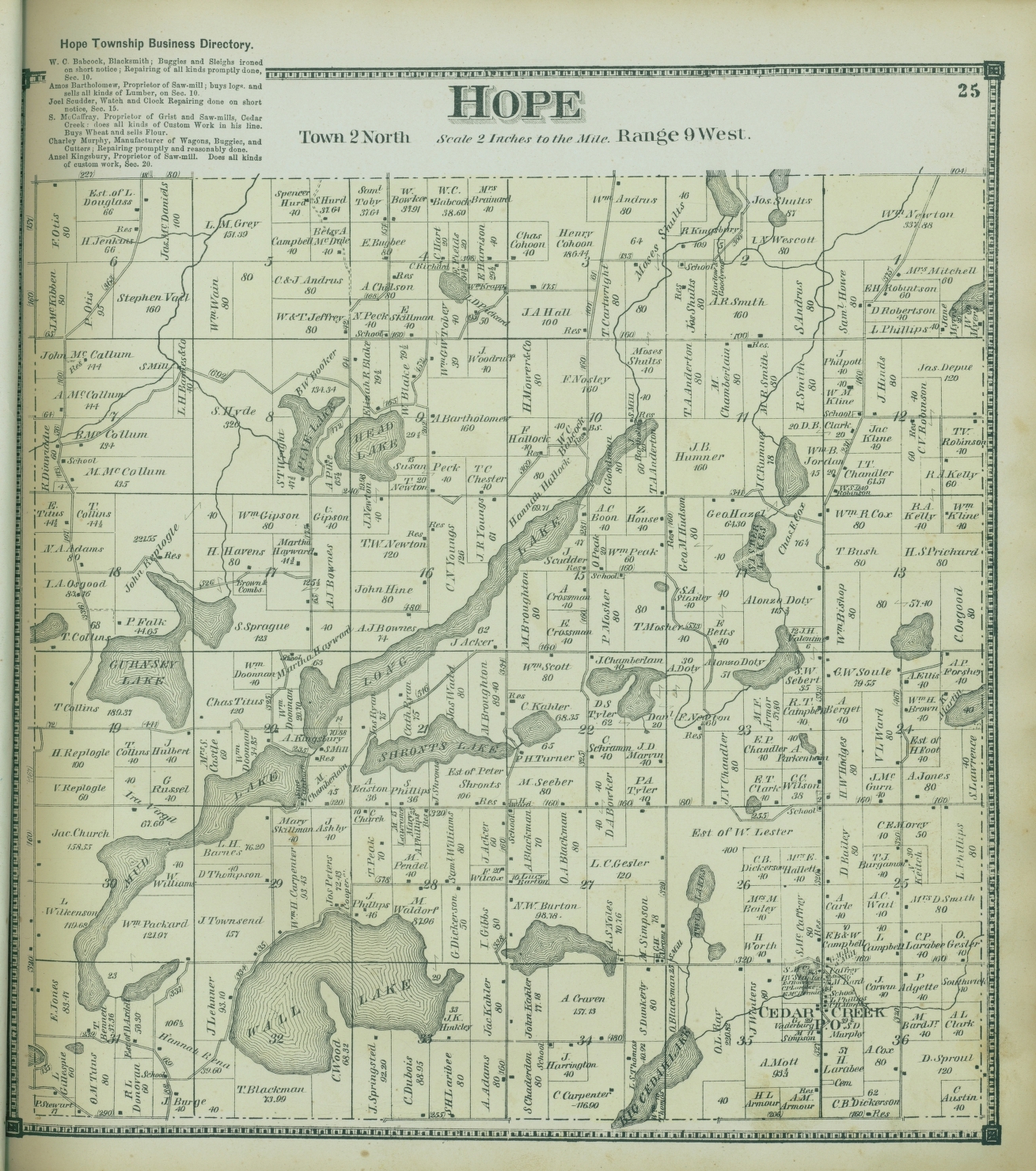 Springstead Family History