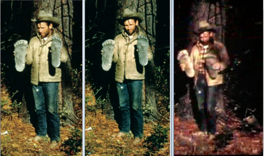 Deutsche Bigfoot Presse: Brandneues Interview mit Bigfoot-Legende Bob ...