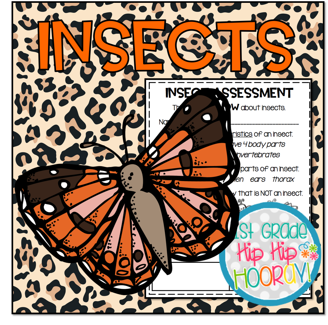 1st Grade Hip Hip Hooray!: Let's Explore Insects