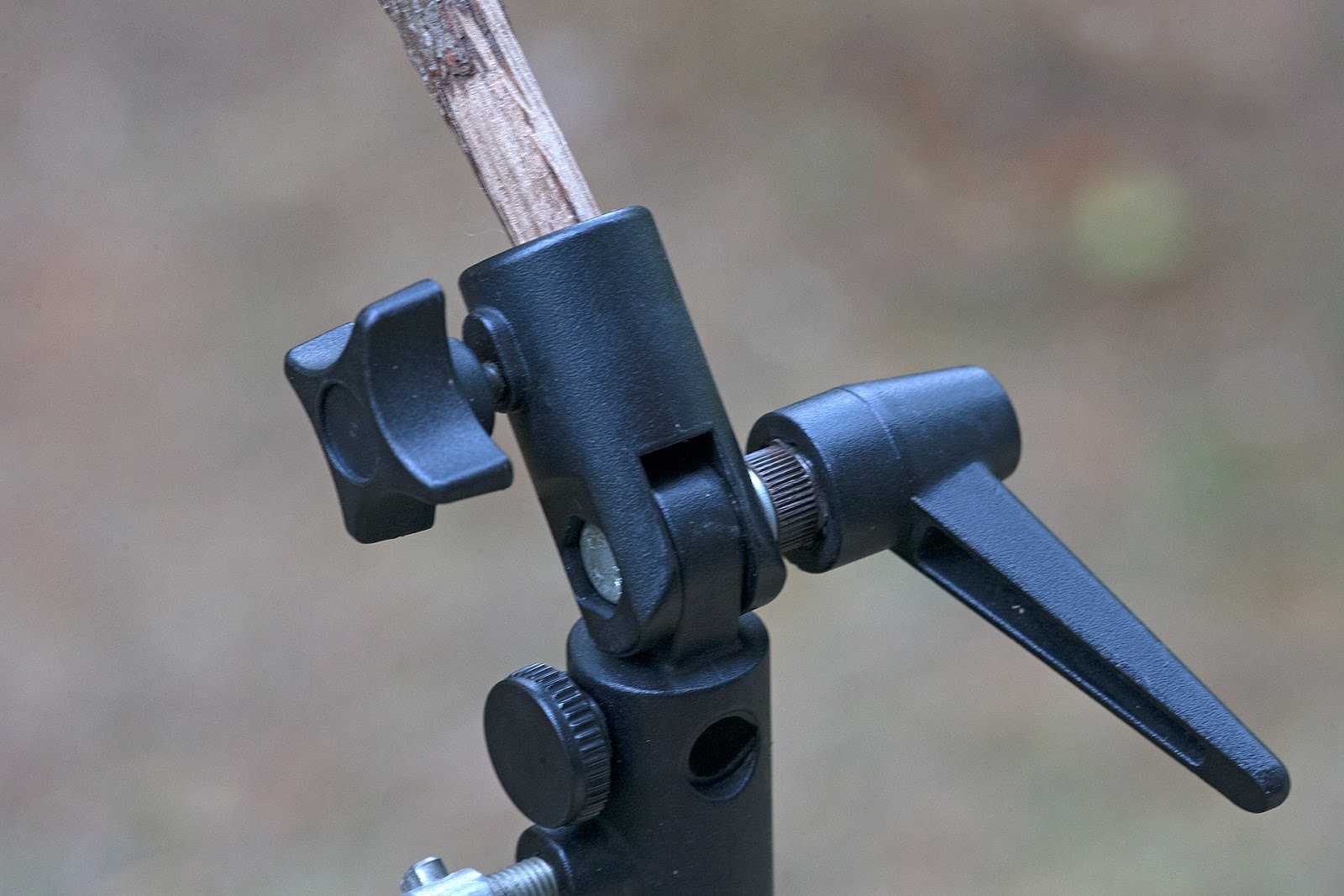 Pertinent perches are paramount