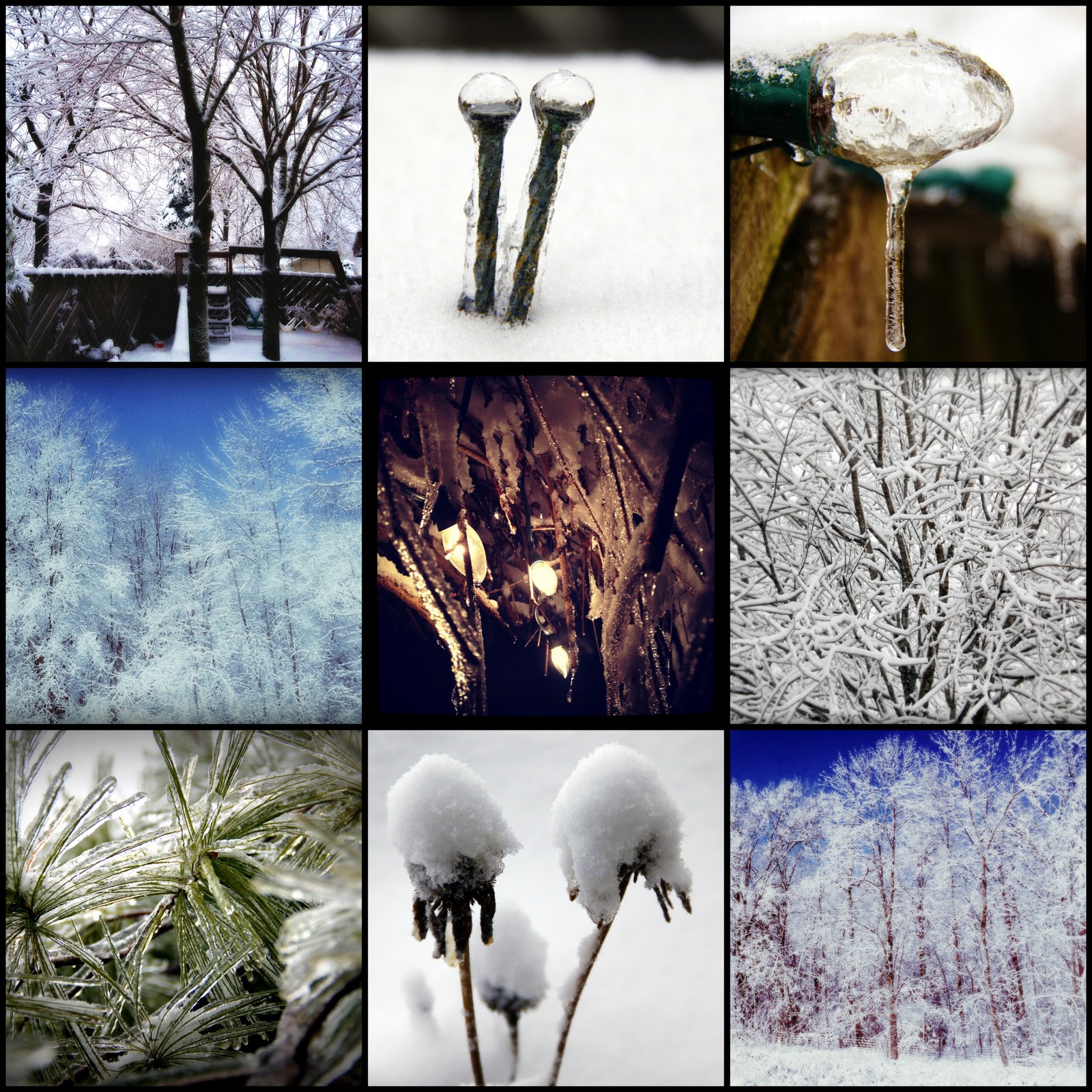 Keeping Up with the Charlebois: Winter Collage