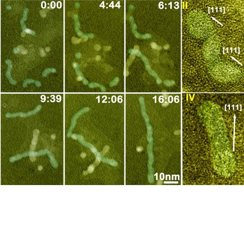 Electric Galaxy: NanoDisk Galaxy Model Highly Organized by H2, Nanodust ...
