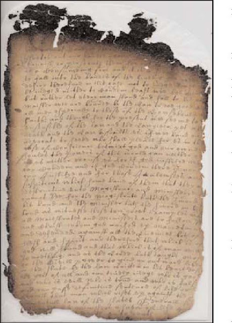 Robin's attempts to fly away home...: Townsend