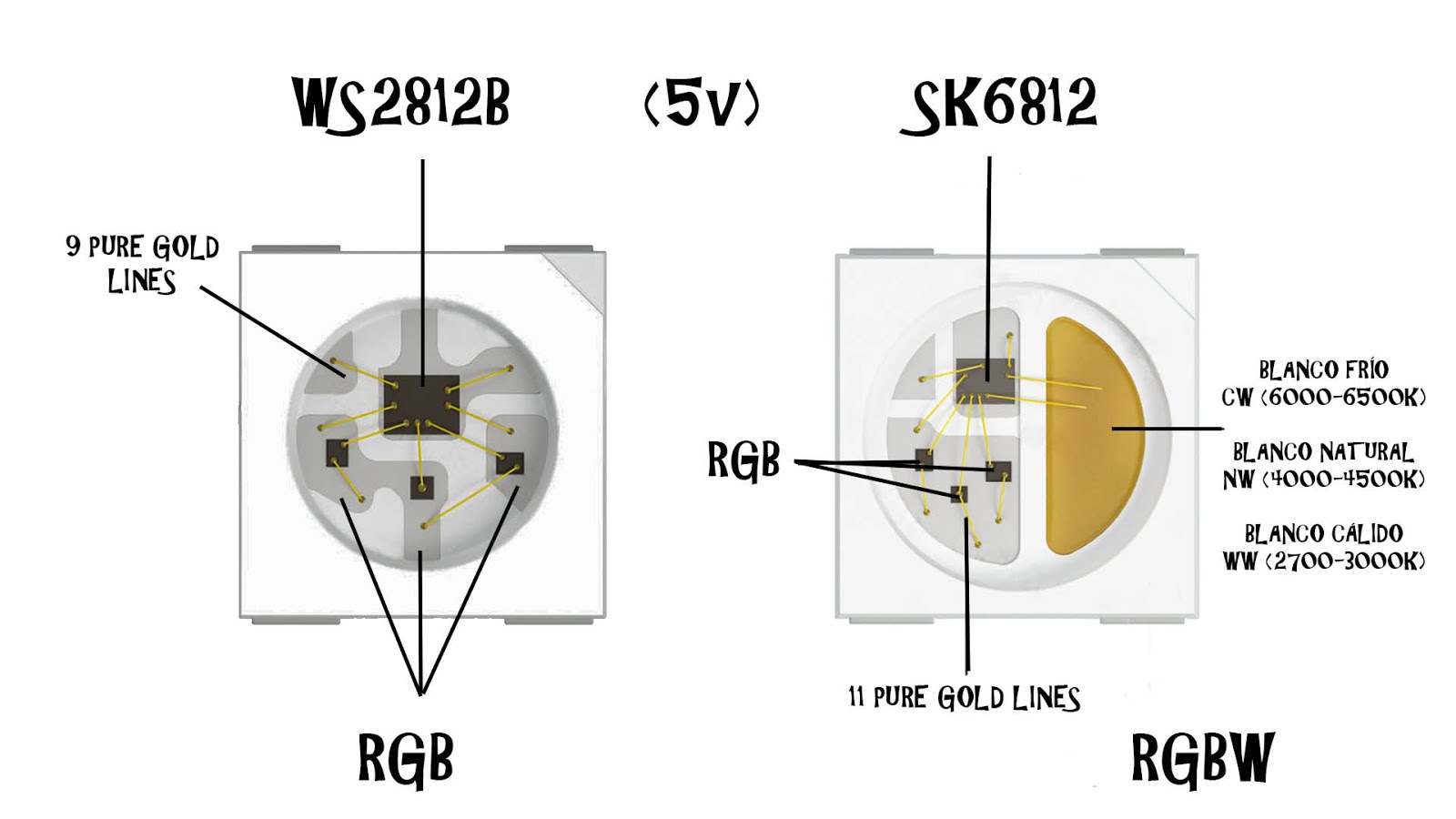 BurlySpain: ¡El ARGB se queda en blanco! Tiras LED WS2812B vs SK6812-RGBW