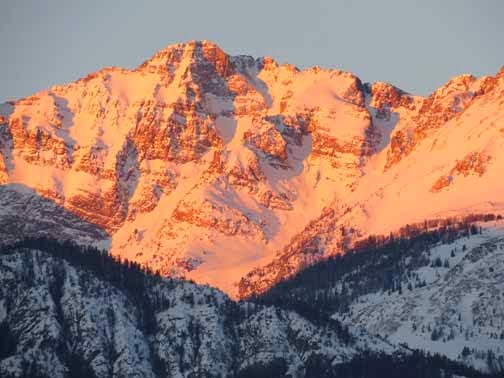 Shirl Ireland's Art Blog: Winter Wonderland