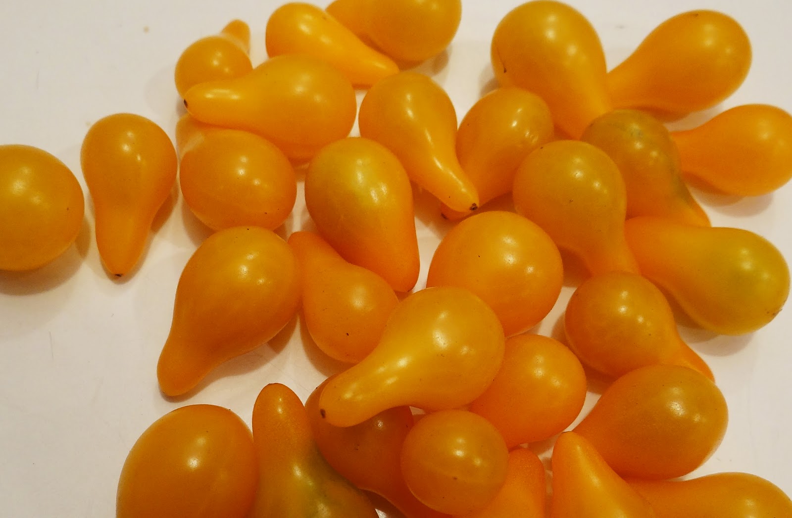 There's always thyme to cook...: Wordless Wednesday: Tiny Yellow Pear ...