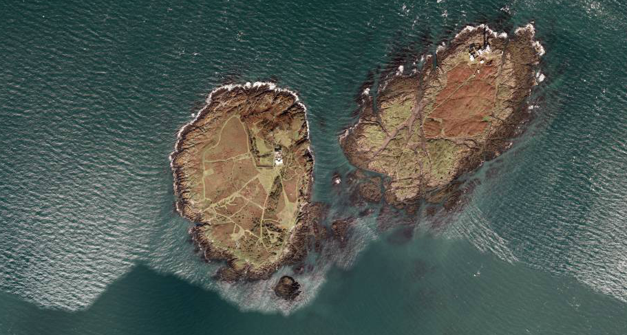 Patch Birding Ireland: Copeland Bird Observatory - Richard Donaghey