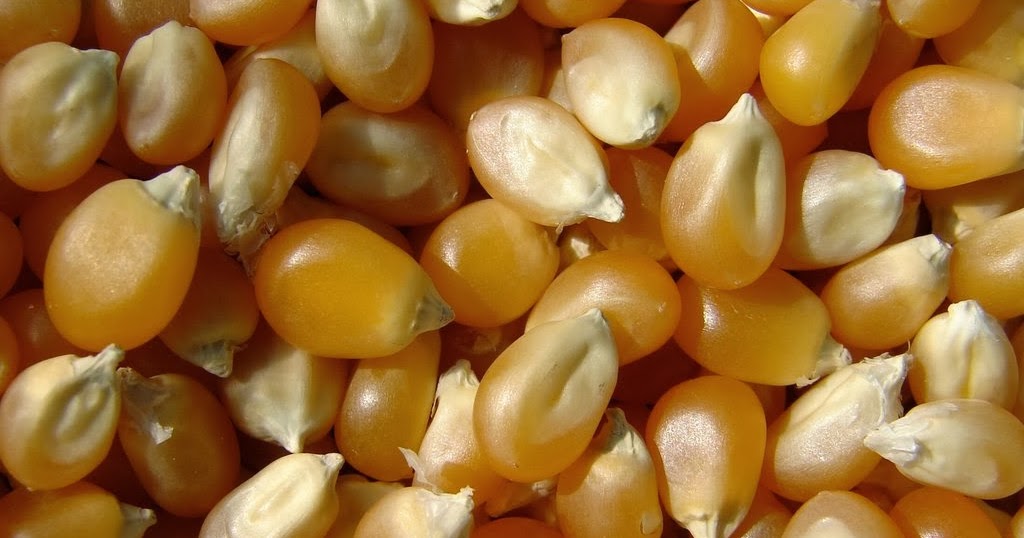 Sunday Afternoon Movies & REAL Popcorn