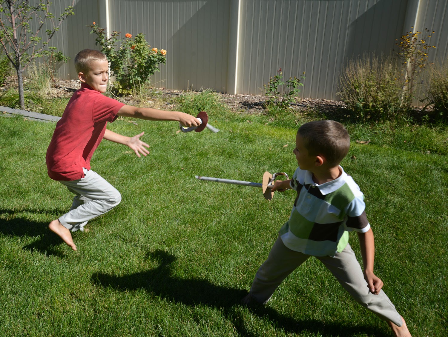 A school of fish: Backyard Play