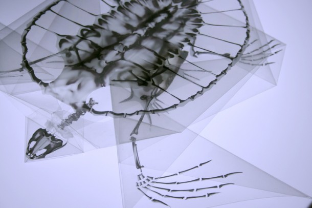 “Oritsunagumono” The Transparent Origami