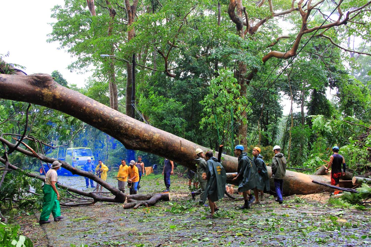 Clean-up after typhoon Glenda (photos) | SubicNewsLink