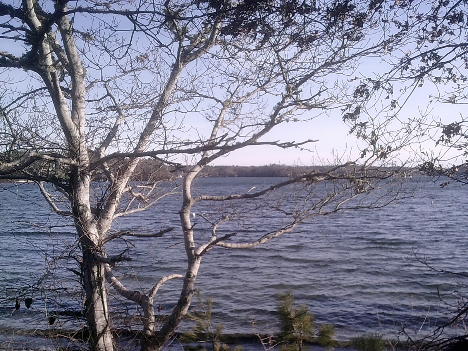 Cranberry County Magazine: Cape Cod Folks: Book Review
