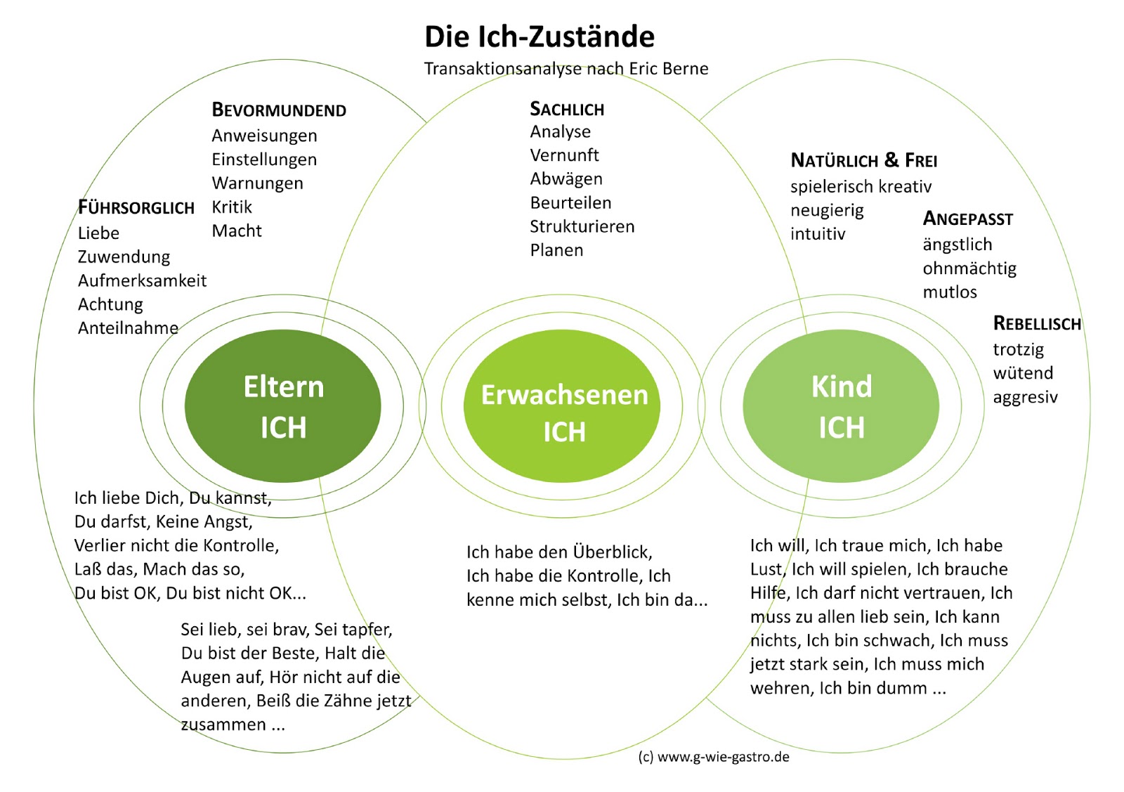 Integrate everything: Grundgedanken der Transaktionsanalyse von Eric Berne