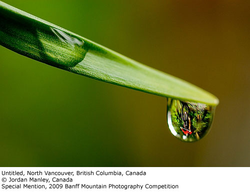 Brittany's digital photo blog: Types of perspective in photography