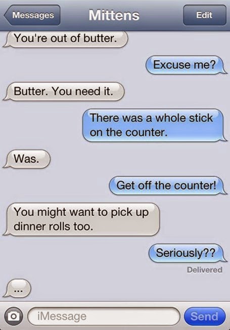 15 Text Messages A Cat Would Send If Cats Could Actually Text