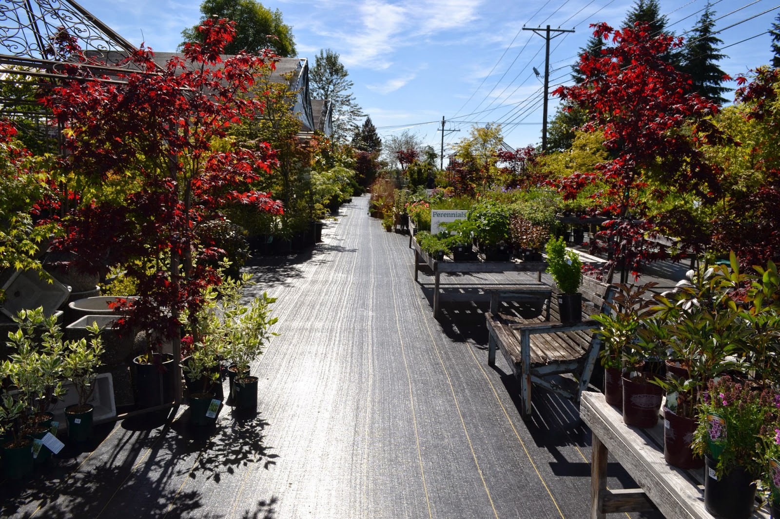 The Outlaw Gardener: Visiting Willow Tree Gardens and Interiors