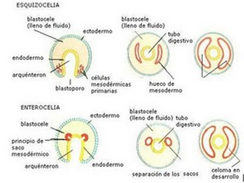 RESUMEN DE CLASE DE LA SEMANA DEL 09 AL 13 DE FEBRERO. | Fernando ...