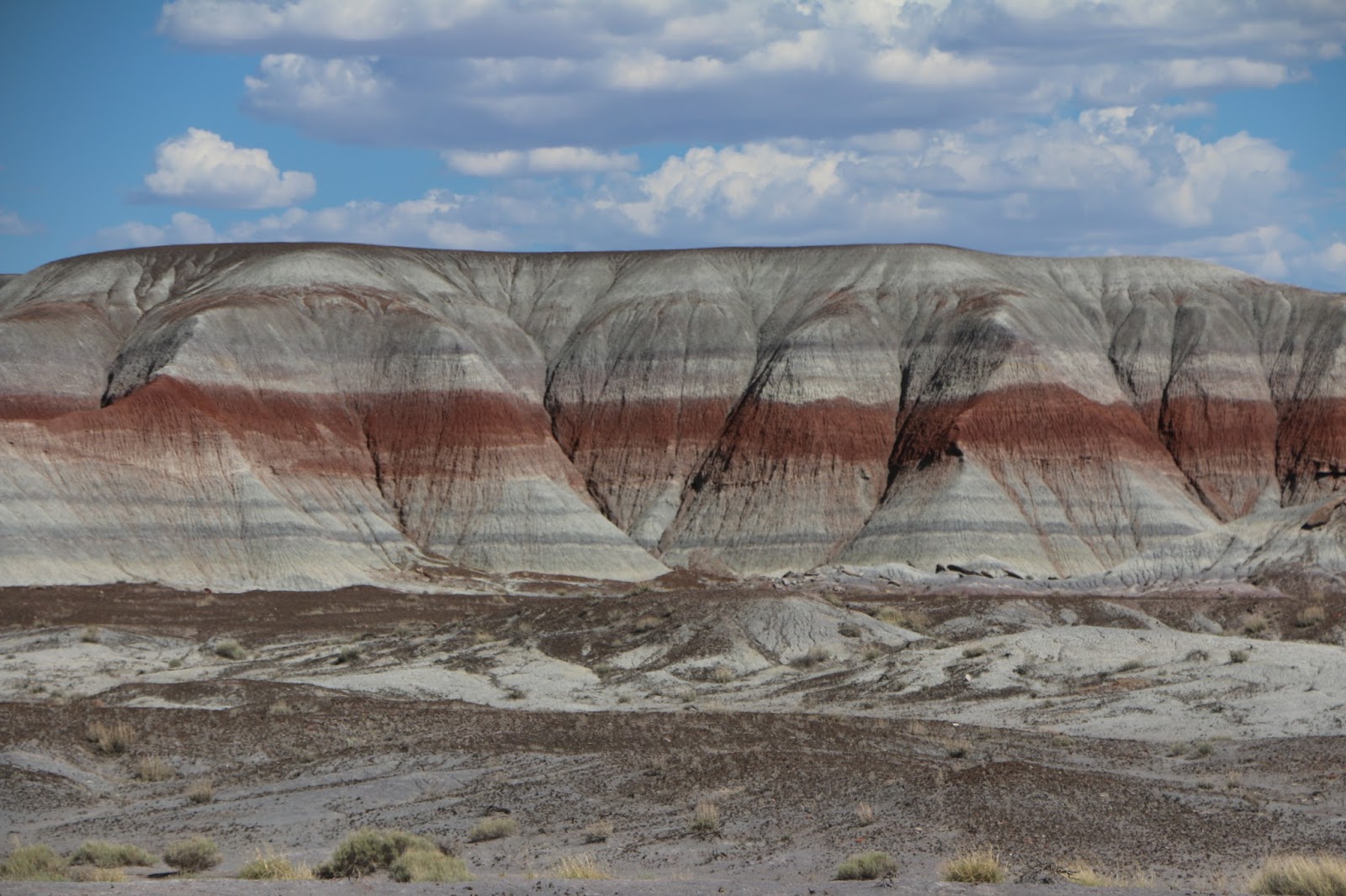 Les Voyages de Durandale: PETRIFIED FOREST, PAINTED DESERT, New Mexico