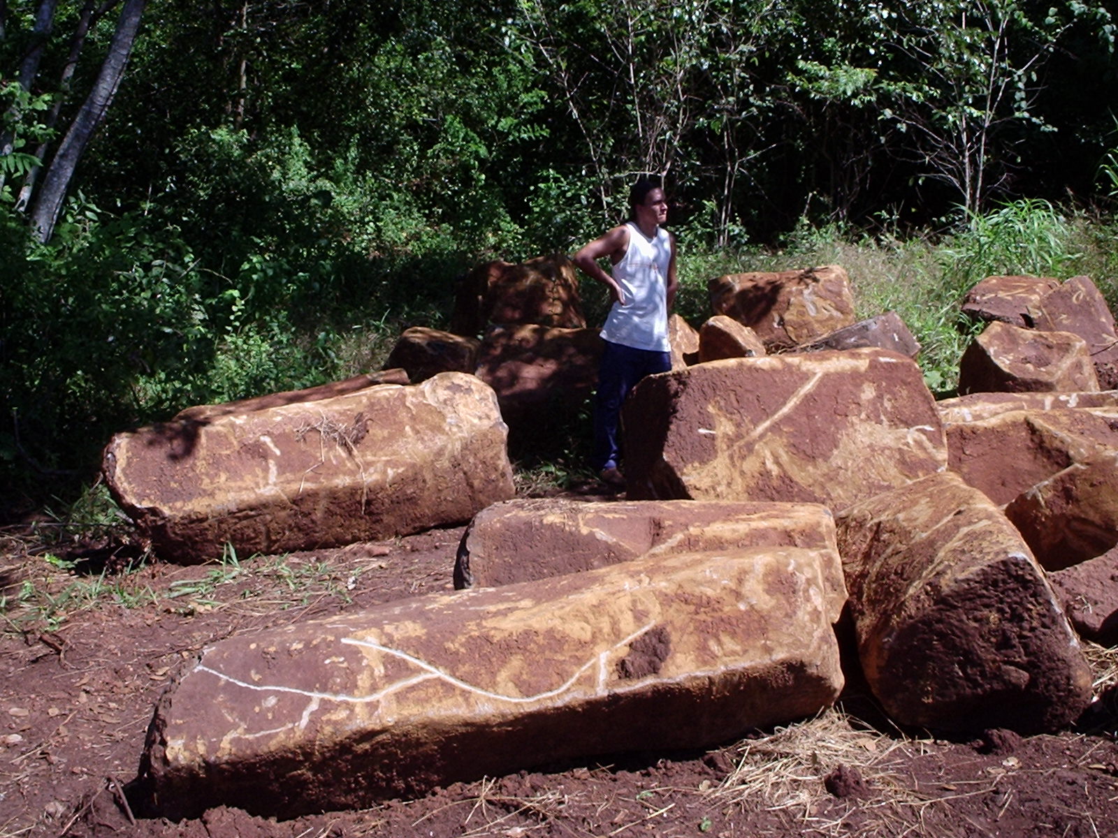 Pedra Ferro Mineração Ltda.