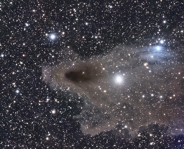Astrophotography Diaries of a Rookie: LDN 1235 - The Dark Shark Nebula