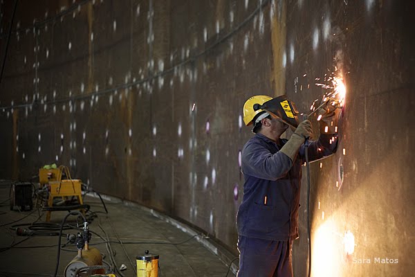 Sara Matos | BLOG: novo tanque da ren