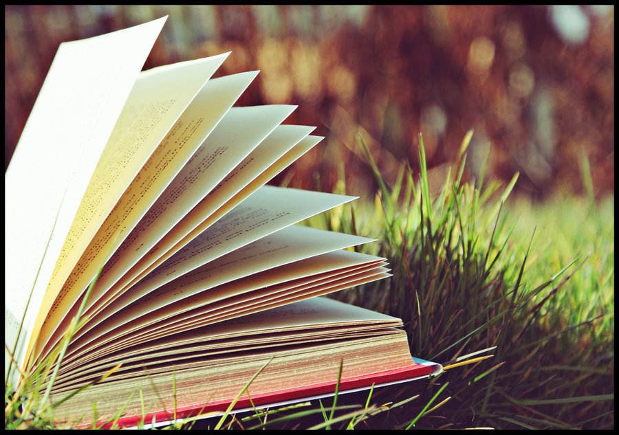 Imagini cu cărţi | StolenIMG