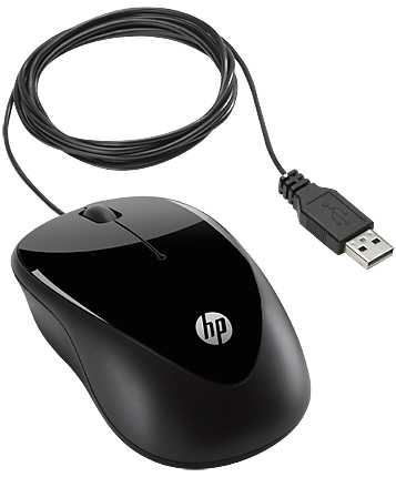 | COMPUTER NETWORK SERVICES