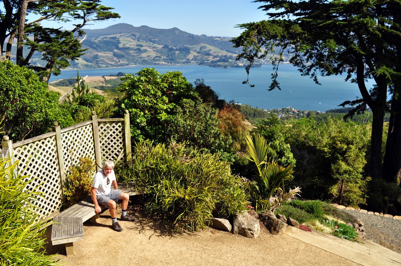 Dutchcorner: Dunedin