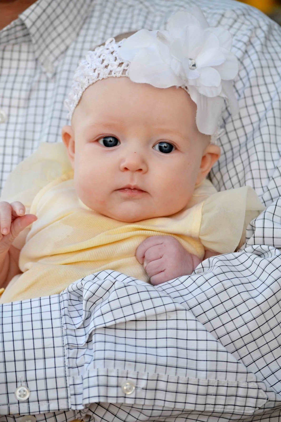 Babblings and More: About Us