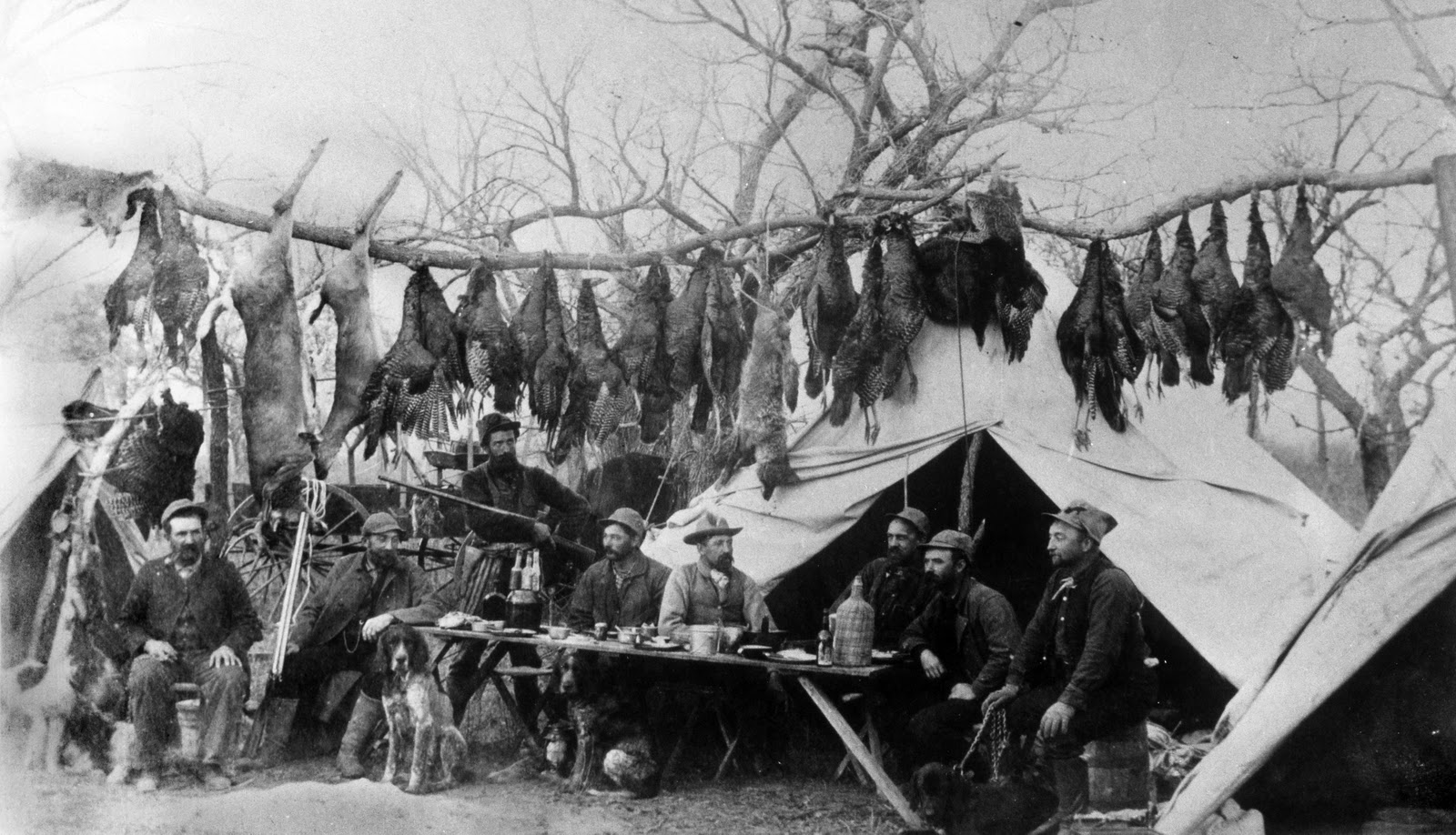 The Pine River Review: World Bird Wednesday XLVI