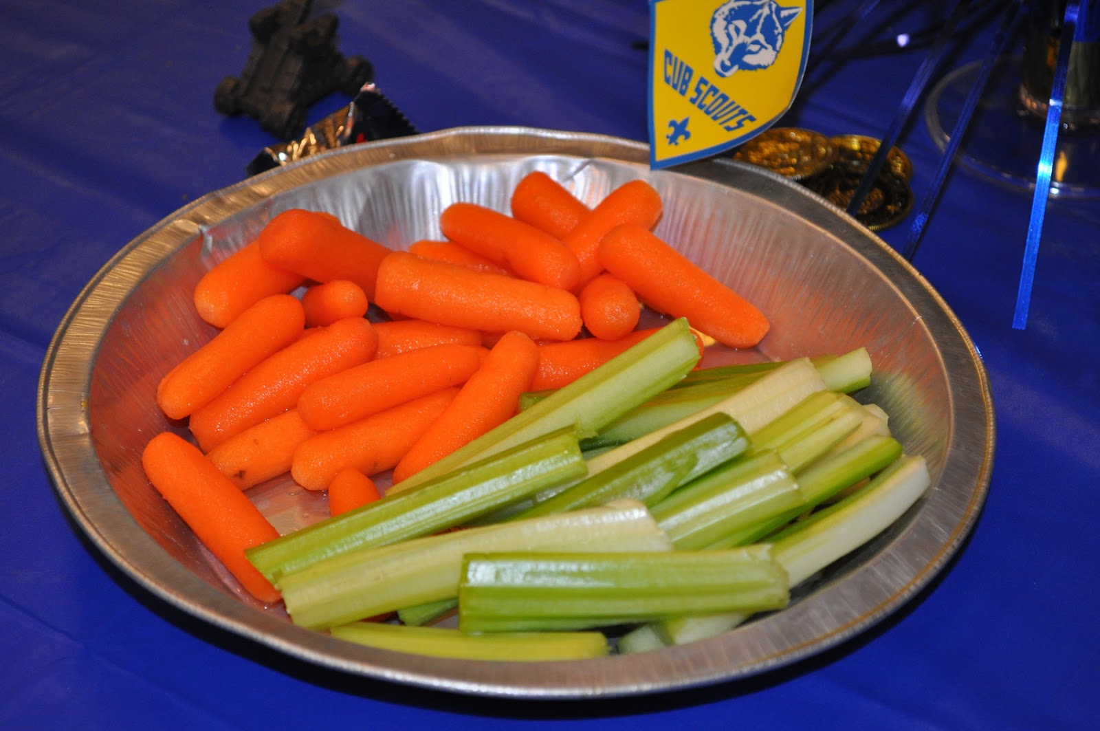 Tenney Family: Knights of the Round Table - CubScouts