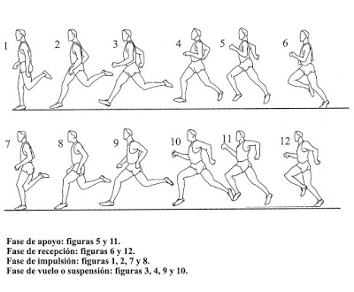 filosofia para los niños: Educación física:marchas y ritmos.