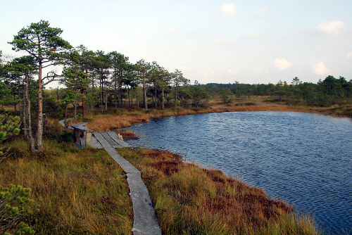 Galerii: Sügisene matk Riisa rabas 19.09.2013