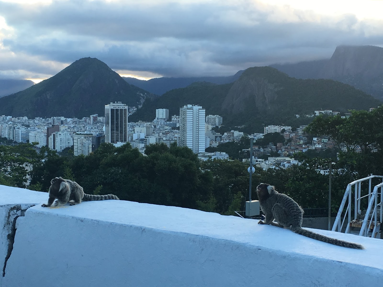 Como visitar o Forte do Leme, no Rio de Janeiro | Brasileira Viajante