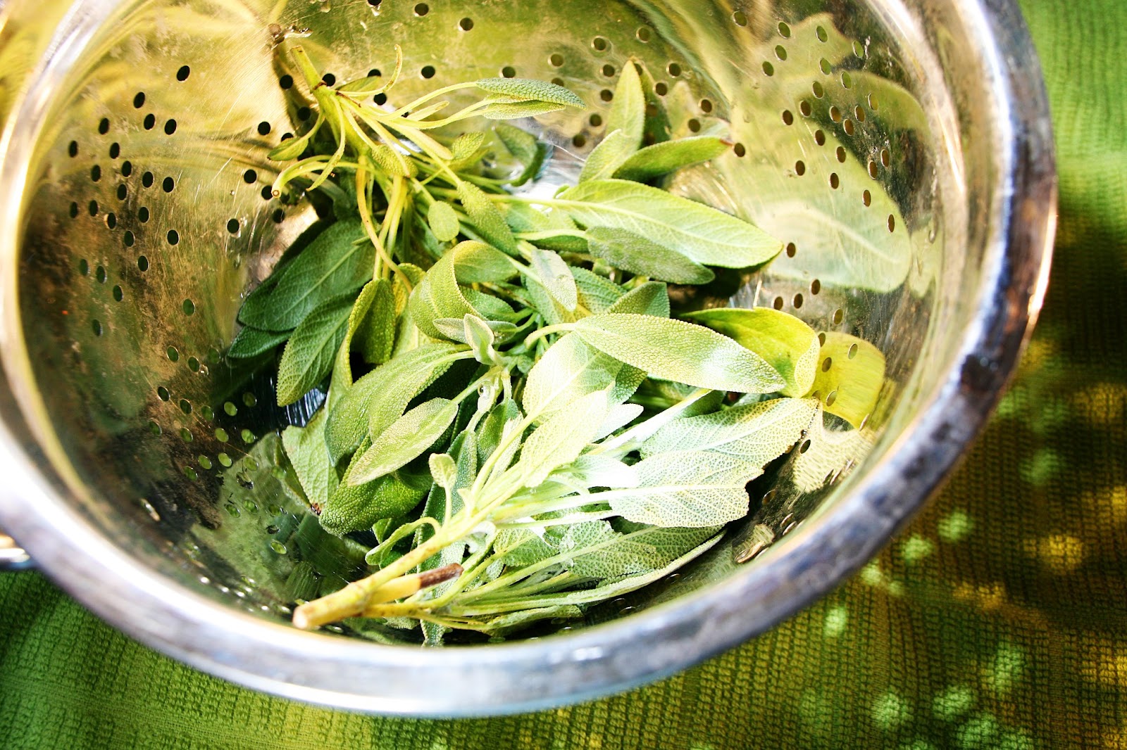 Love from the Kitchen: Summer of Canning: Lemon-Sage White Wine Mustard