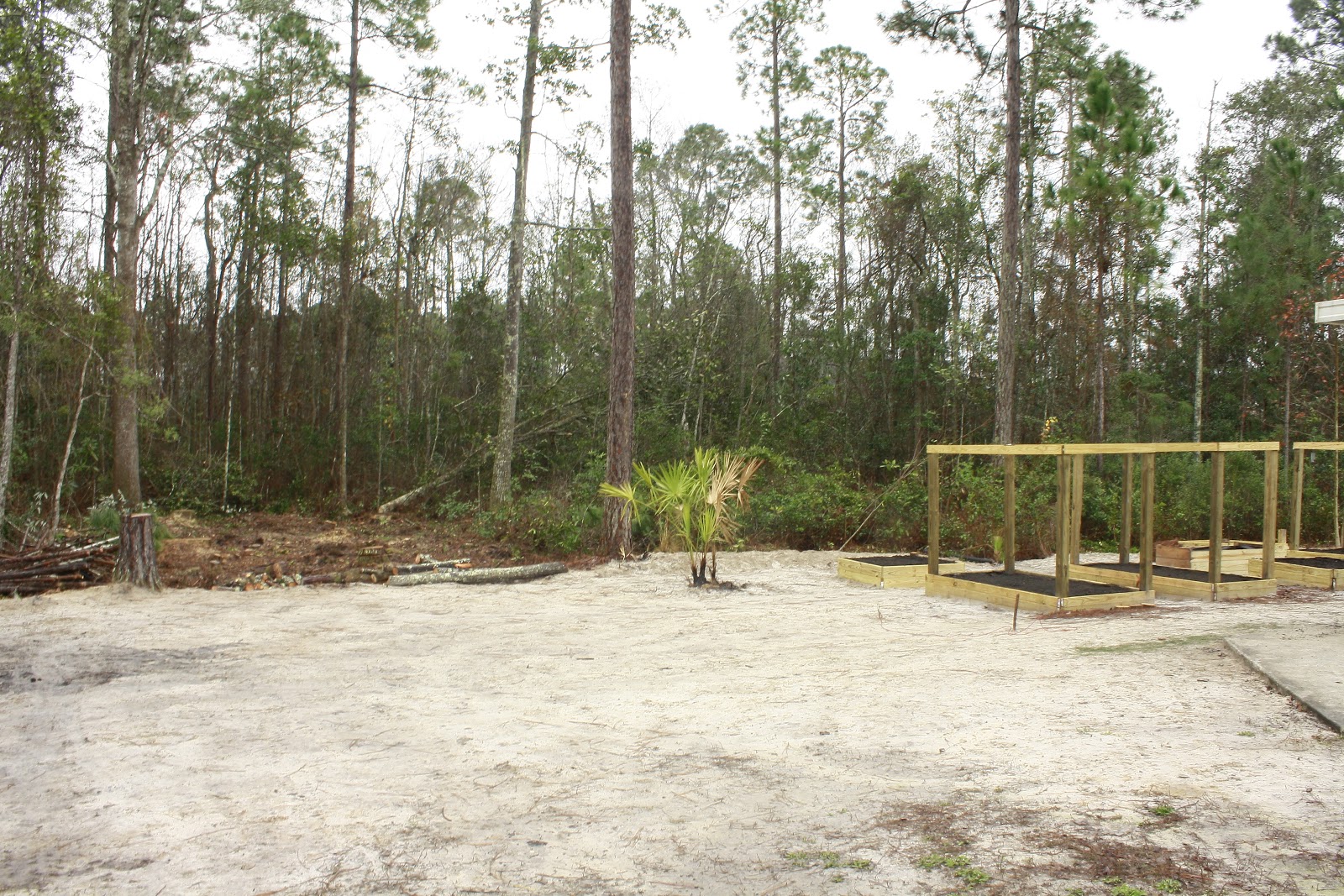 Baking in Sunshine: Make do or do without.