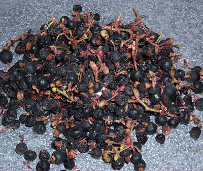 Salal Berry - Fruits And Vegetables