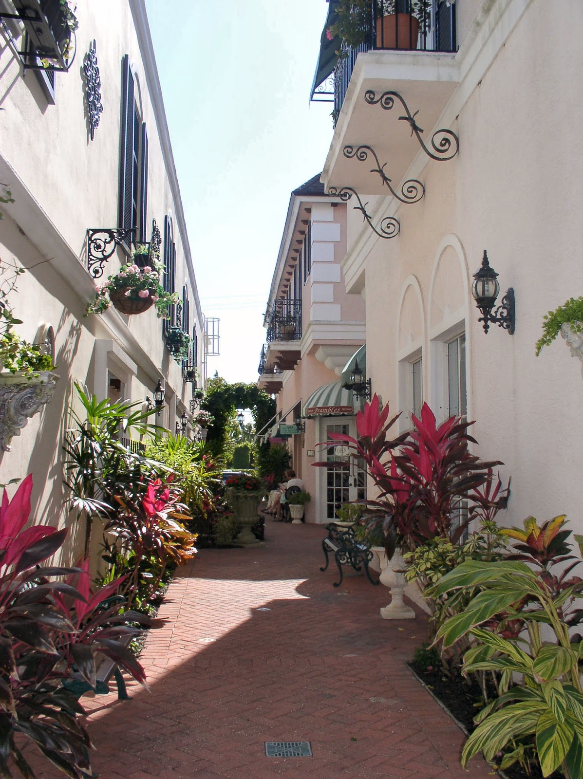 Alpha Chi Omega Alumnae in SW Florida: An Elegant English Tea Room on ...
