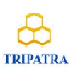 GEJOB: PT Tripatra Engineers and Contractors