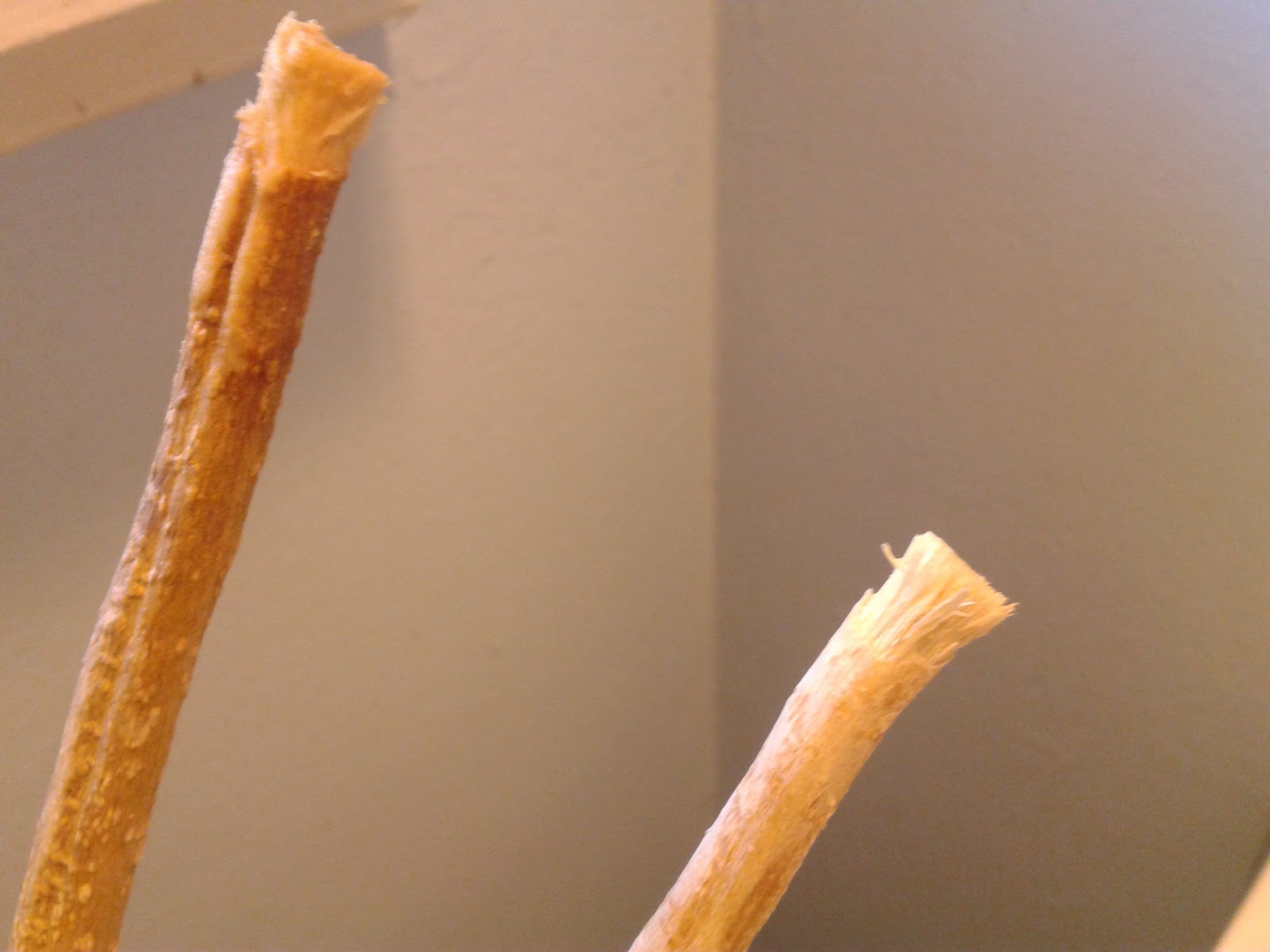 The HoarderRehab Blog: The Destiny of Things: Miswak Twig Toothbrush ...