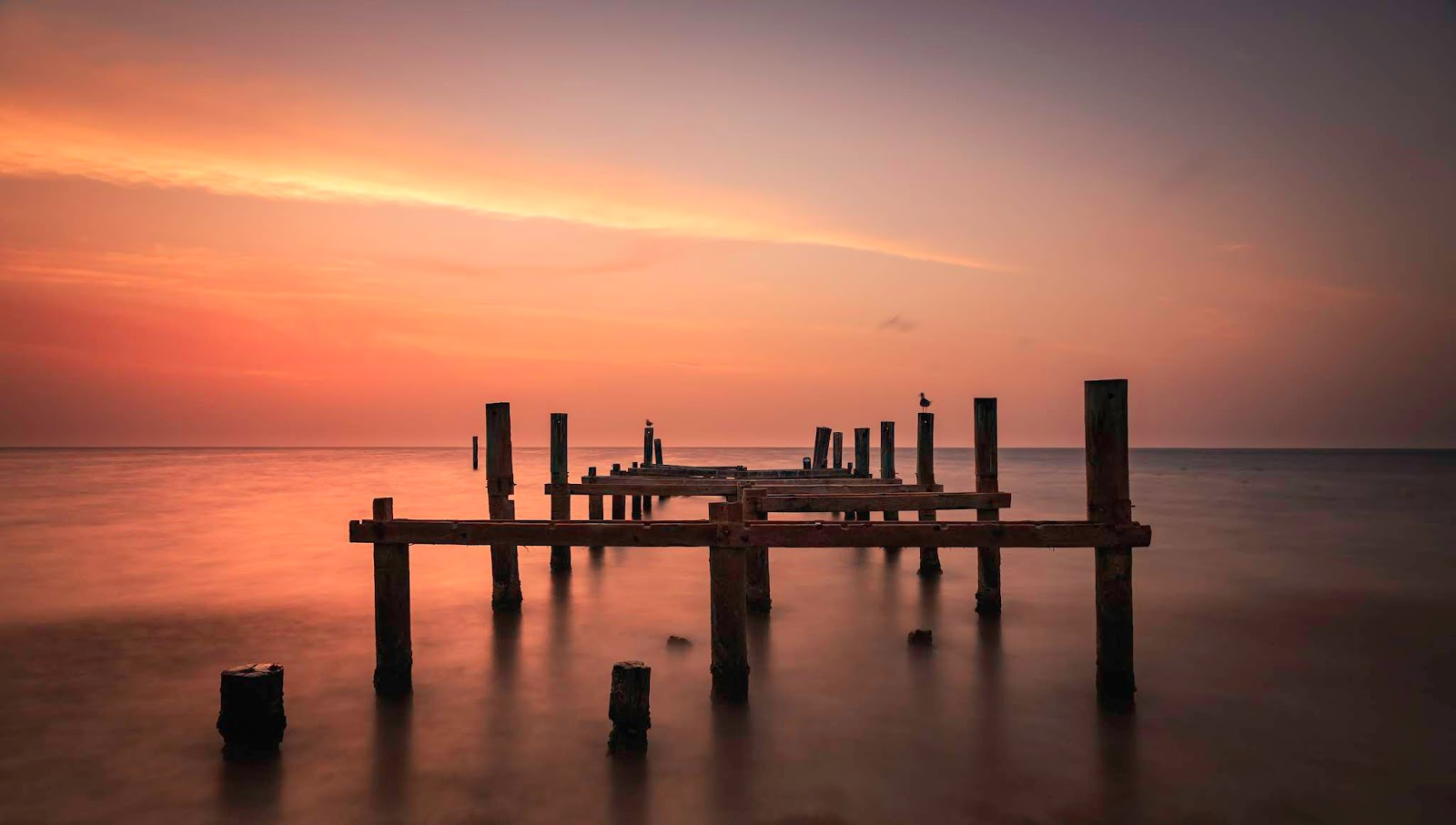 Fotografía 2017, Muestra de Artes Visuales Quintana Roo 2017-2018 ...