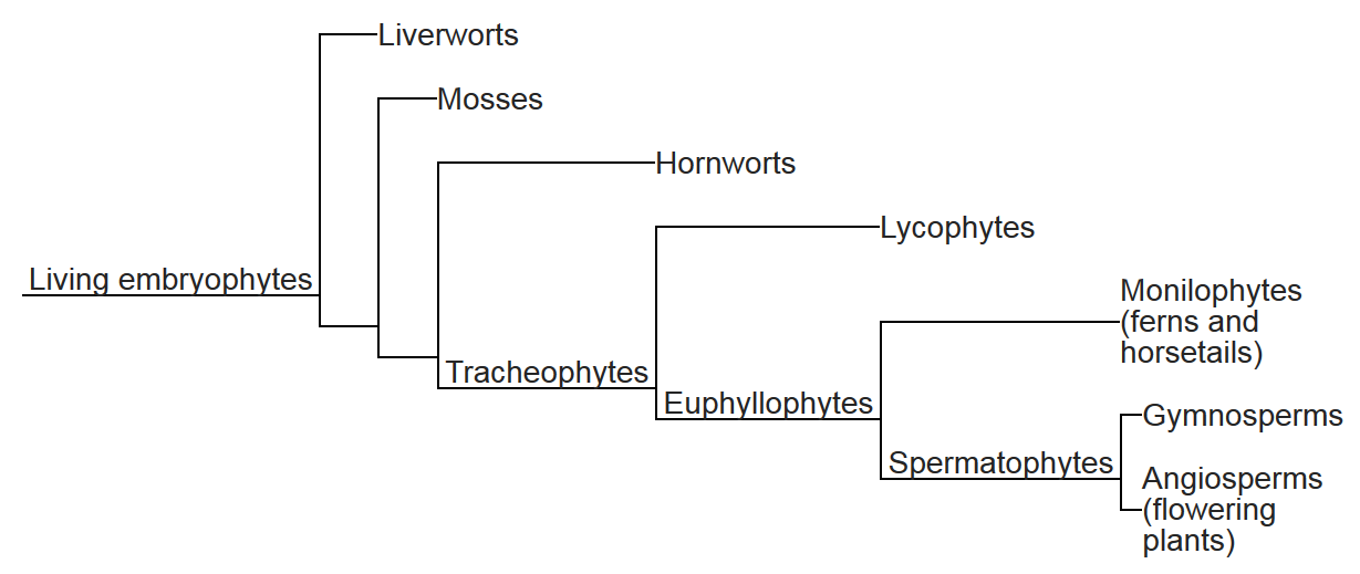 Popke - Blog: November 2015