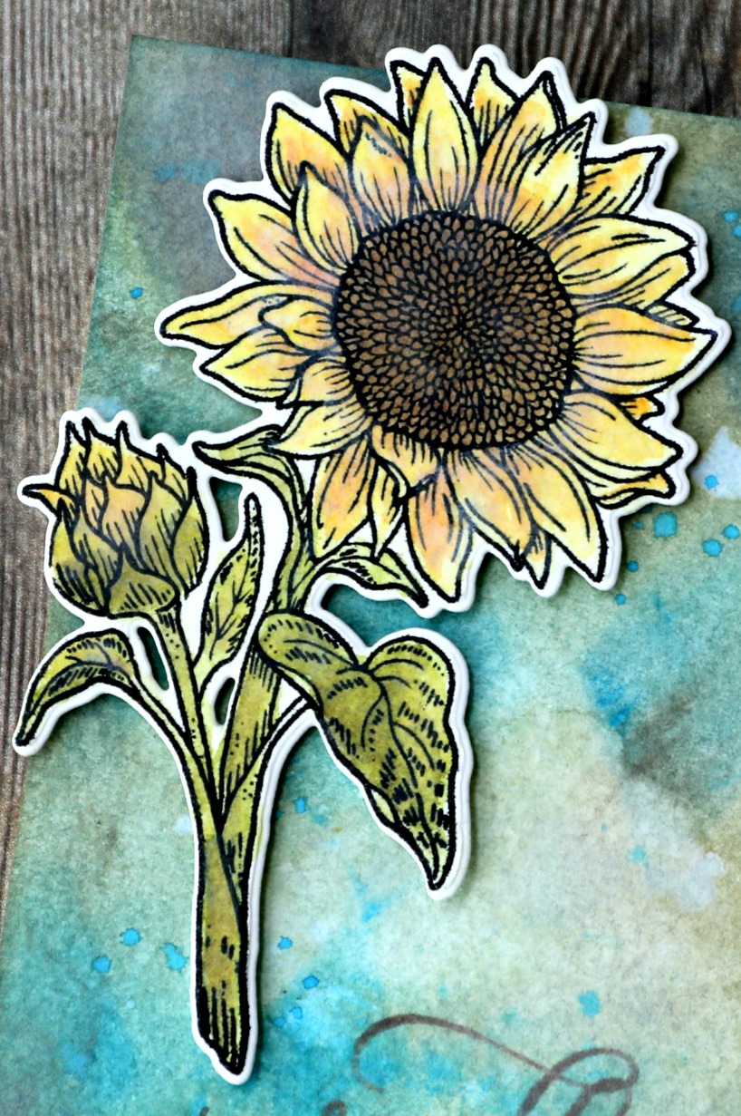 Dream in Color...: Fading Summer