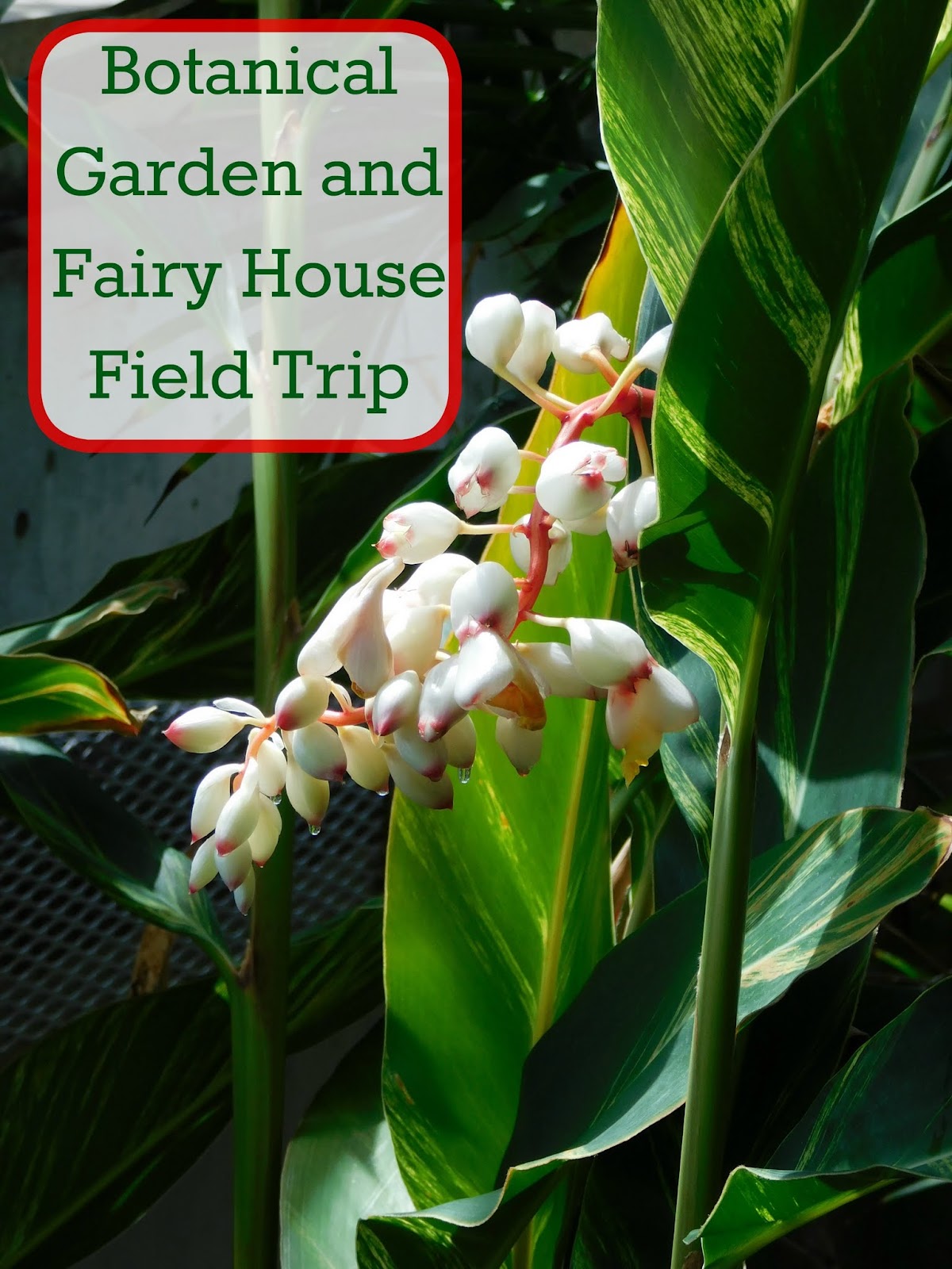 Botanical Gardens Field Trip