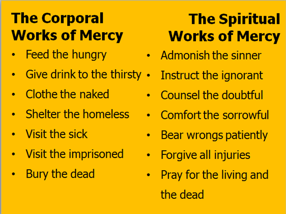 Sisters of the Most Holy Trinity